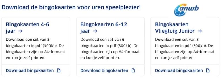 Auto Bingo - Leuk bingo spel voor in de auto en onderweg ...